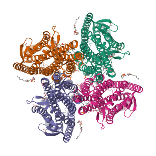RCSB PDB - 8VC1: CryoEM structure of insect gustatory receptor BmGr9