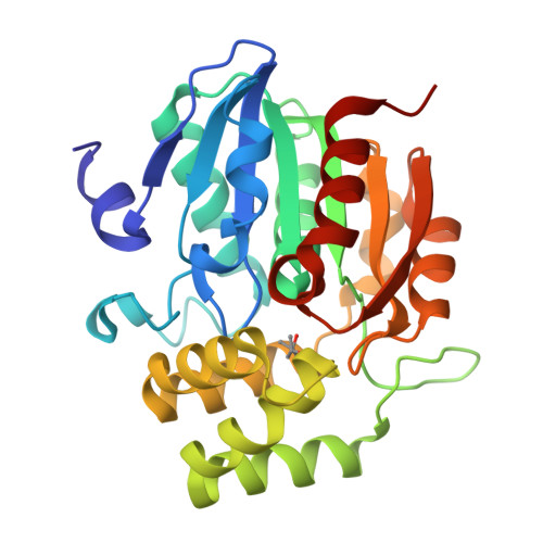 RCSB PDB - 8VD1: Crystal Structure of KAI2 from Oryza sativa with MPD