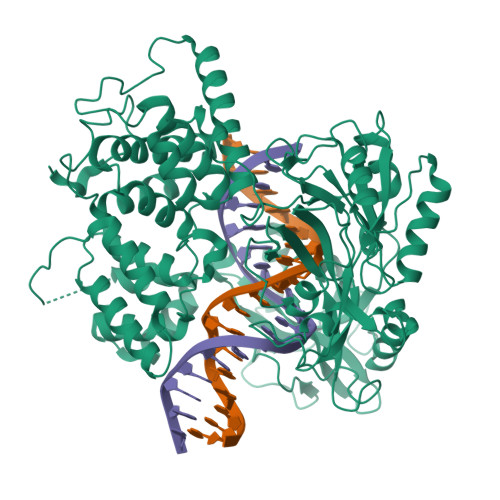 RCSB PDB - 8VDS: DNA Ligase 1 with nick DNA 3'rG:C