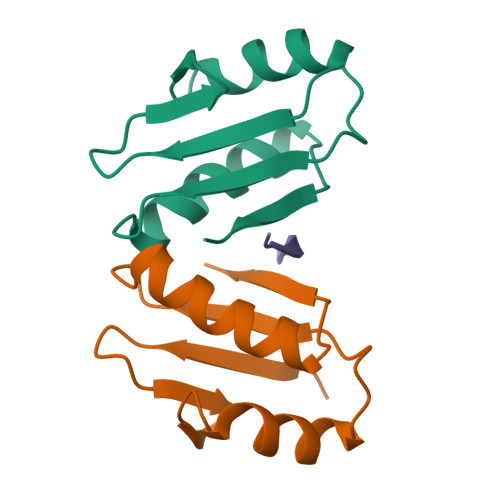 RCSB PDB - 8VGC: Complex of ExbD with D-box peptide: Orthorhombic form