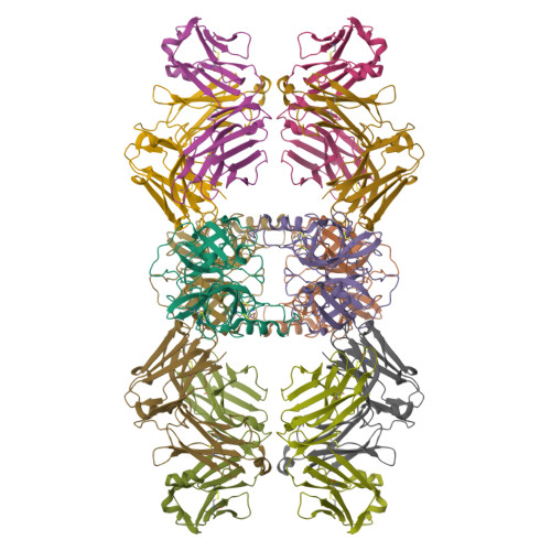 RCSB PDB - 8VGH: CryoEM structure of tryptase in complex with wild type ...