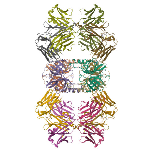 RCSB PDB - 8VGK: CryoEM structure of tryptase in complex with ...
