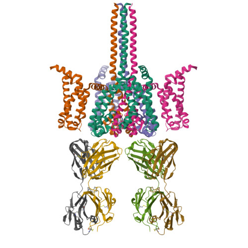 RCSB PDB - 8VGL: CryoEM structure of Nav1.7 in complex with wild type ...