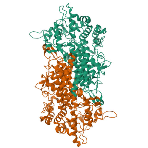 RCSB PDB - 8VGX: Phosphate-bound Vanadium-dependent Bromoperoxidase ...