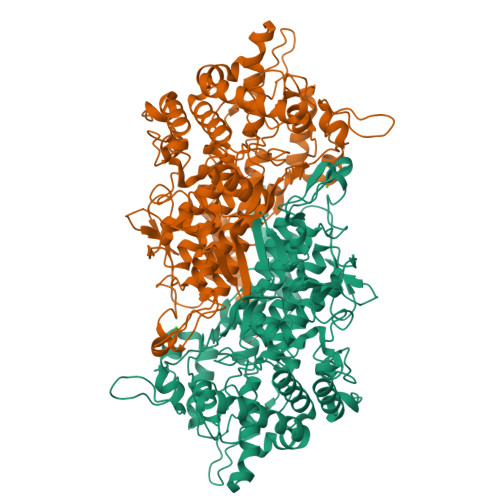 RCSB PDB - 8VH0: Vanadate-bound Vanadium-dependent Bromoperoxidase from ...