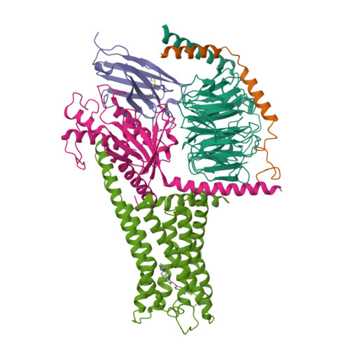 RCSB PDB - 8VHF: Cryo-EM structure of GPR119-Gs-Nb35 complex with small ...