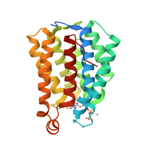 RCSB PDB - 8VIP: Crystal structure of the N-terminal domain of fatty ...