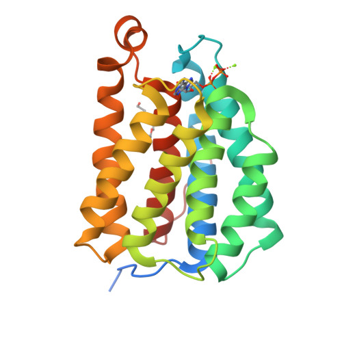 RCSB PDB - 8VIT: Crystal structure of the N-terminal domain of fatty ...