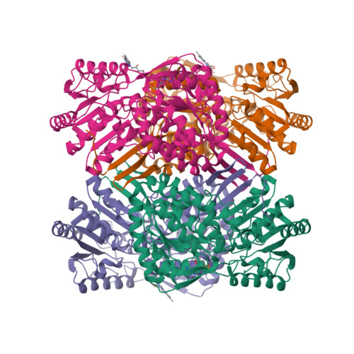 RCSB PDB - 8VJ3: Crystal Structure of Betaine aldehyde dehydrogenase ...