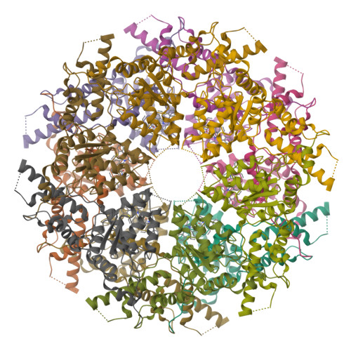 RCSB PDB - 8VLS: Structure of VCP in complex with an ATPase activator ...