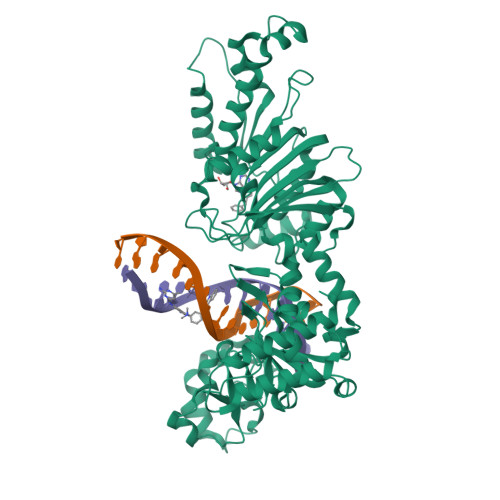 RCSB PDB - 8VPH: CamA Adenine Methyltransferase Complexed to Cognate ...