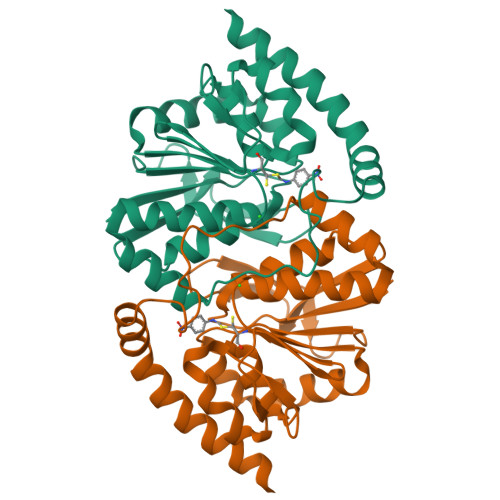 RCSB PDB - 8VQ1: Pseudomonas fluorescens G150T isocyanide hydratase at ...