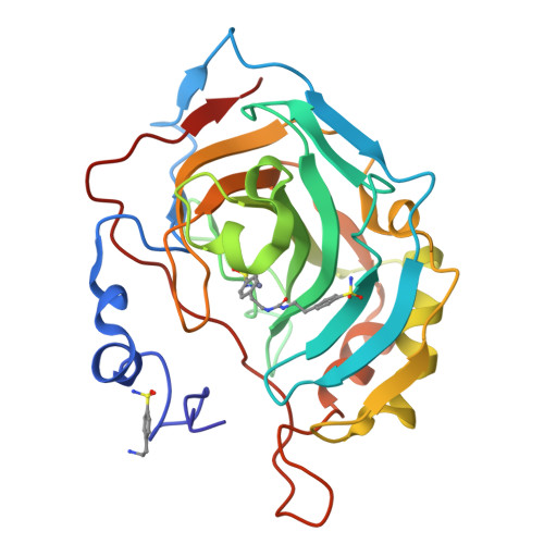 RCSB PDB - 8VQ5: hCA-II-Bivalent compound bound complex ...