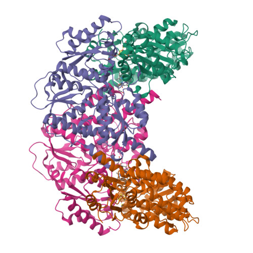 RCSB PDB - 8VQI: CryoEM structure of BchN-BchB electron acceptor ...