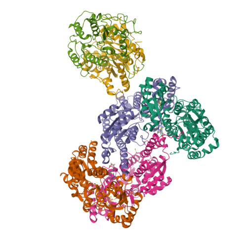 RCSB PDB - 8VQJ: CryoEM structure of DPOR under turnover