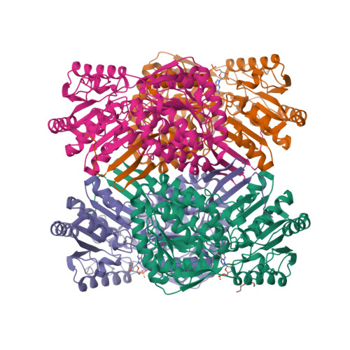 RCSB PDB - 8VR0: Crystal Structure of Betaine aldehyde dehydrogenase ...