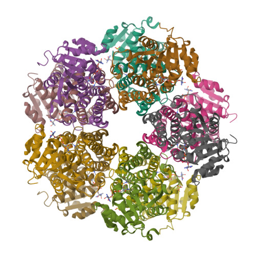 RCSB PDB - 8VRE: Structure of PYCR1 complexed with NADH and N-formyl-L ...