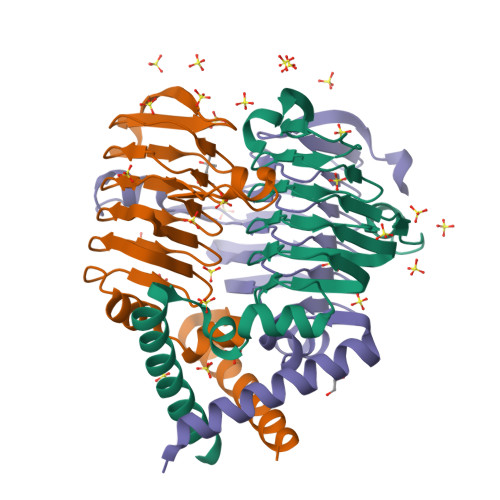 RCSB PDB - 8VRM: Crystal structure of the Pcryo_0619 N ...