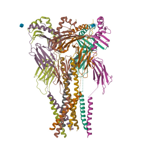 RCSB PDB - 8VSP: Cryo-EM structure of human invariant chain in complex ...