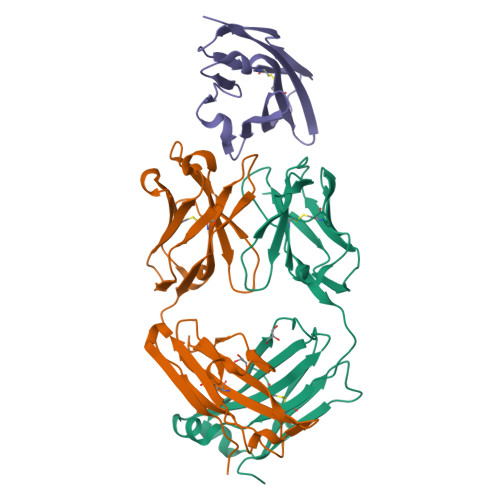 RCSB PDB - 8VTD: Co-structure of the Fab of the anti-TIGIT Vibostolimab ...