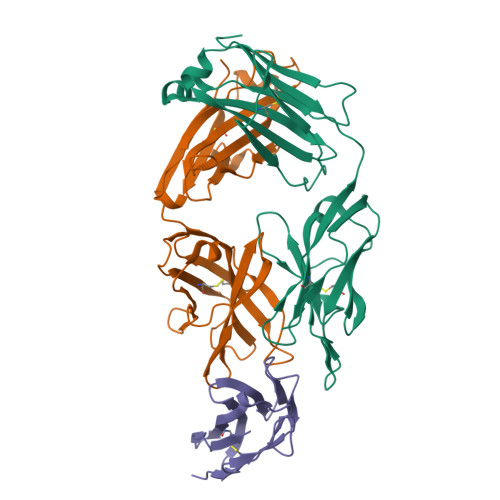 RCSB PDB - 8VTE: Co-structure of the Fab of the anti-TIGIT Vibostolimab ...