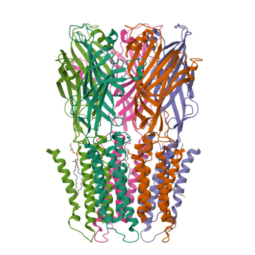 RCSB PDB - 8VUW: ELIC5 with cysteamine in 2:1:1 POPC:POPE:POPG nanodisc ...