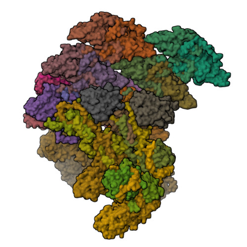 RCSB PDB - 8VWI: The base complex of the AcMNPV baculovirus ...