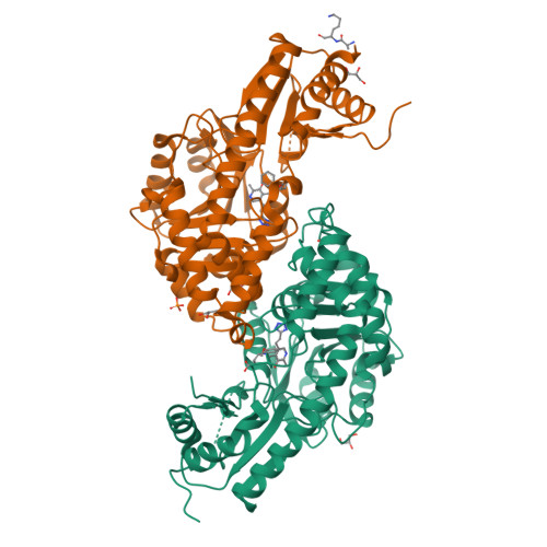 RCSB PDB - 8VXL: Crystal Structure of the External Aldimine Complex of ...