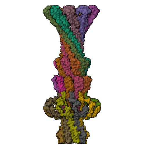 RCSB PDB - 8VXQ: Cryo-EM structure of phage DEV ejection proteins gp72:gp73