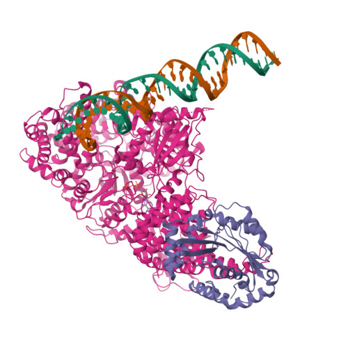 RCSB PDB - 8VXY: Structure of HamA(E138A,K140A)B-plasmid DNA complex ...