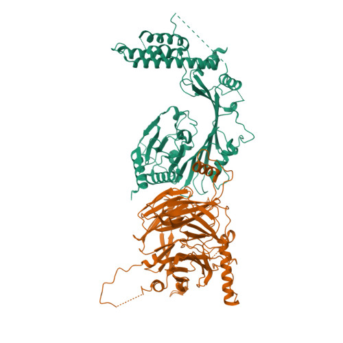 RCSB PDB - 8VYB: Cryo-EM structure of human core Rab3GAP1/2 complex