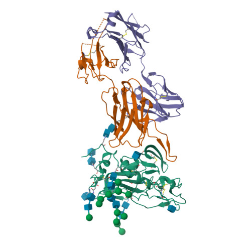 RCSB PDB - 8W0X: Crystal structure of broadly neutralizing antibody ...