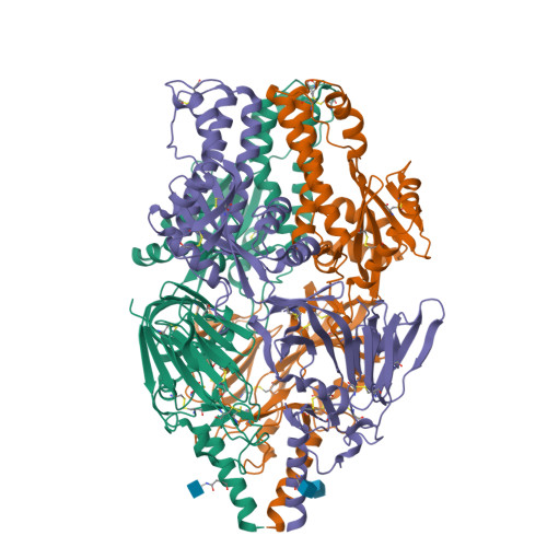 RCSB PDB - 8W3P: Crystal structure of prefusion-stabilized RSV F ...