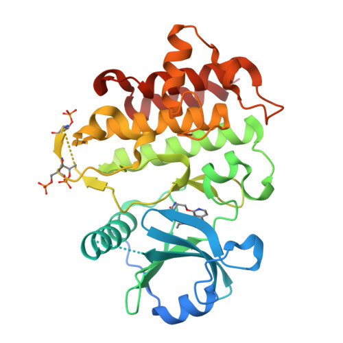 RCSB PDB - 8W3X: Crystal structure of IRAK4 in complex with compound 6