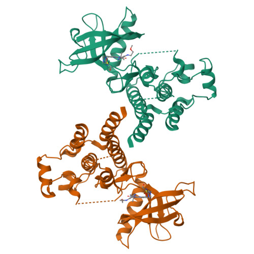 RCSB PDB - 8W5C: Crystal structure of FGFR4 kinase domain in complex ...