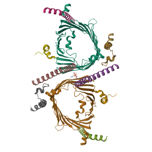 RCSB PDB - 8W5J: Cryo-EM structure of the yeast TOM core complex (from ...