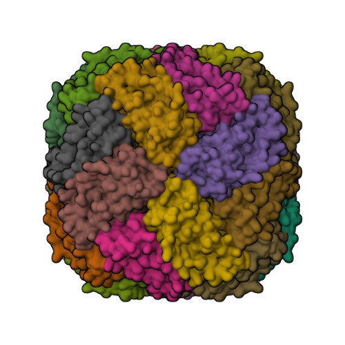 RCSB PDB - 8W6M: Native strucutre of ferritin from Ureaplasma diversum