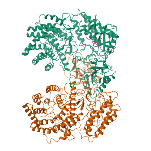 RCSB PDB - 8W7J: Cryo-EM structure of ClassIII Lanthipeptide ...