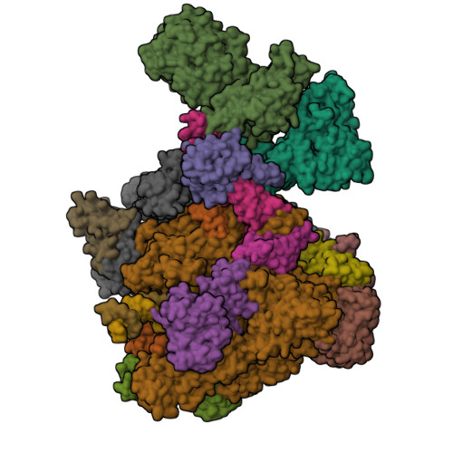 RCSB PDB - 8W8F: human co-transcriptional RNA capping enzyme RNGTT-CMTR1