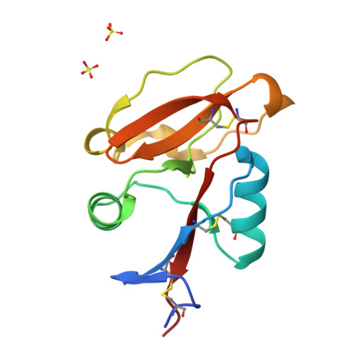 RCSB PDB - 8W8T: Crystal structure of human CLEC12A CRD