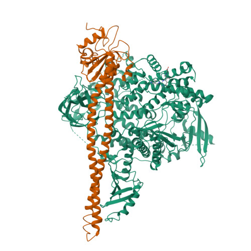 RCSB PDB - 8W9A: CryoEM structure of human PI3K-alpha (P85/P110-H1047R ...