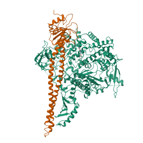 RCSB PDB - 8W9B: CryoEM structure of human PI3K-alpha (P85/P110-H1047R ...