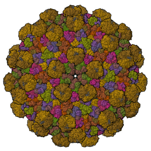 RCSB PDB - 8W9Q: Structure of partial Banna virus