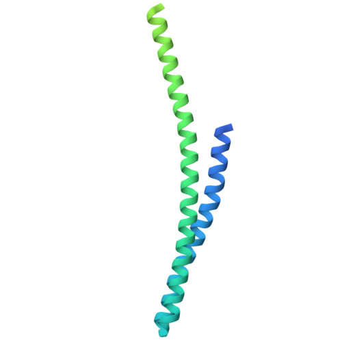 RCSB PDB - 8WB7: CryoEM structure of Snf7 N-terminal domain in the ...