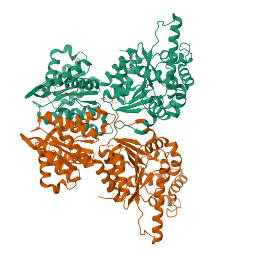 RCSB PDB - 8WC0: Crystal structure of EcThsA