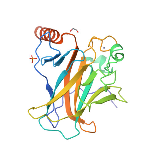 RCSB PDB - 8WD2: The Crystal Structure of p53 from Biortus.