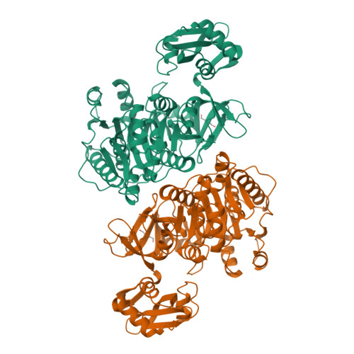 RCSB PDB - 8WEU: Crystal structure of Feruoyl-CoA Synthetase from ...