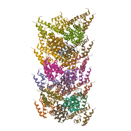 RCSB PDB - 8WKW: Structure of MAVS-CARD Filament