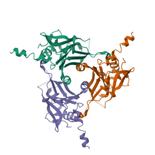 RCSB PDB - 8WLG: Crystal structure of Cypovirus Polyhedra mutant fused ...