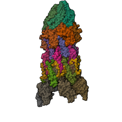 RCSB PDB - 8WLH: Cryo-EM structure of the proximal rod-export apparatus ...